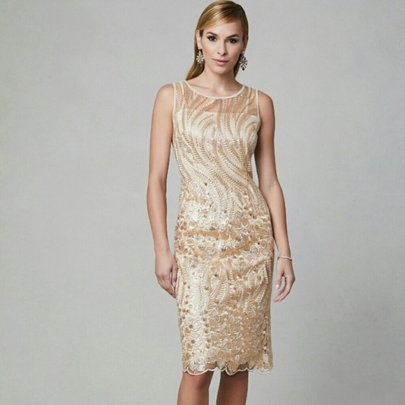 SD Collection | Dresses | Nwt Sd Collection Embroidered Sequin Mesh ...